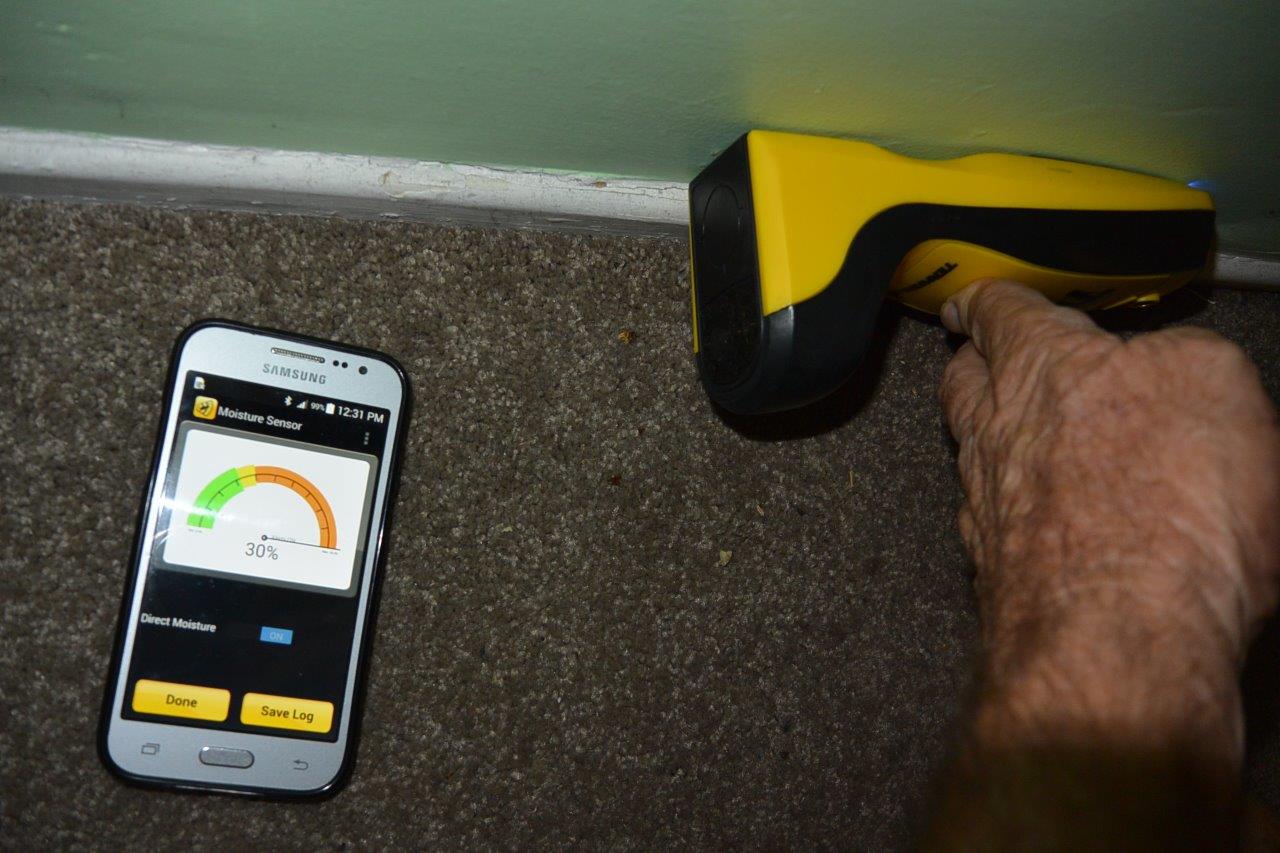 Gallery – All Inspect | All Building And Termite Inspections